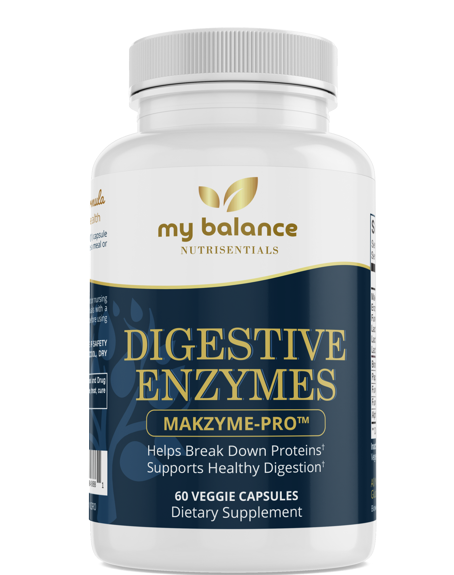 Digestive Enzymes - Supporting your Digestive System – North America ...